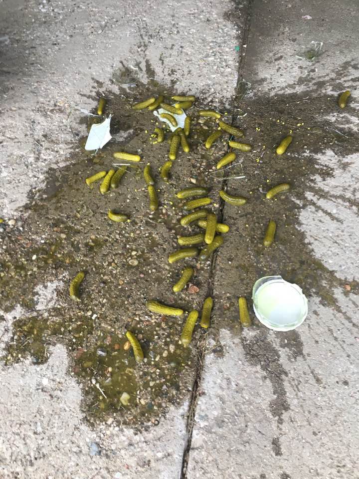 The Death of Sleep and Falling Pickles | TheDustSeason